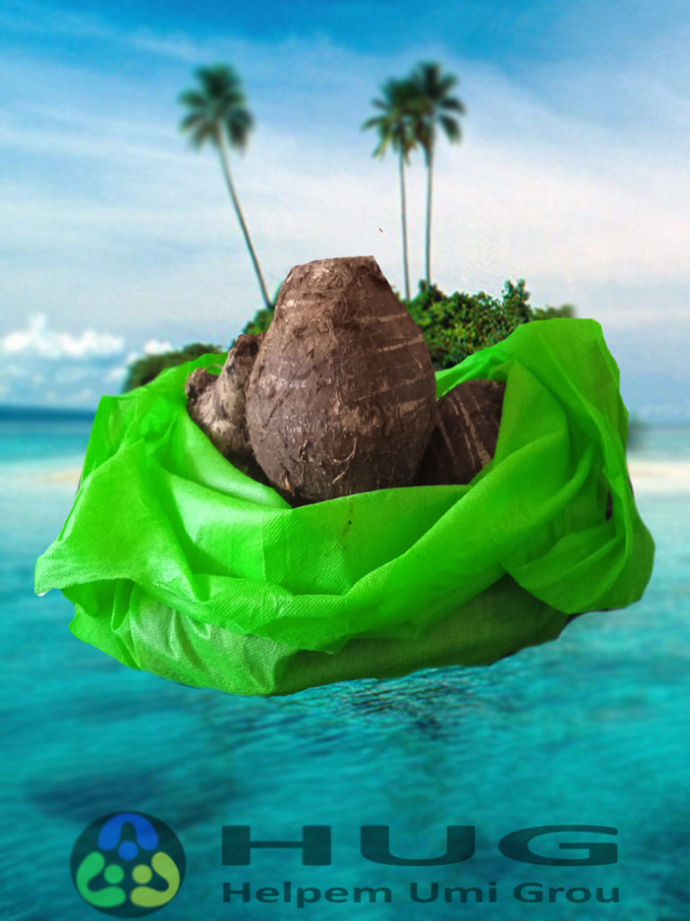 Corned Beef Taro - HUG Solomons