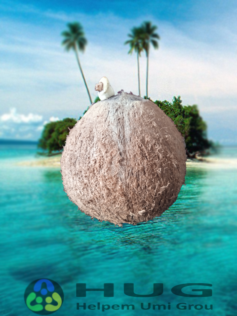 Dry Coconut - HUG Solomons