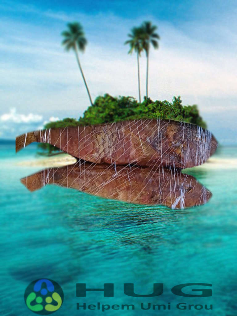Fish - HUG Solomons